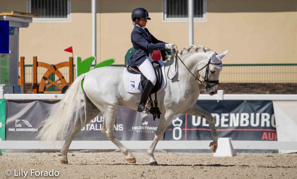 Des chevaux PRE pour la relève – IberiMag